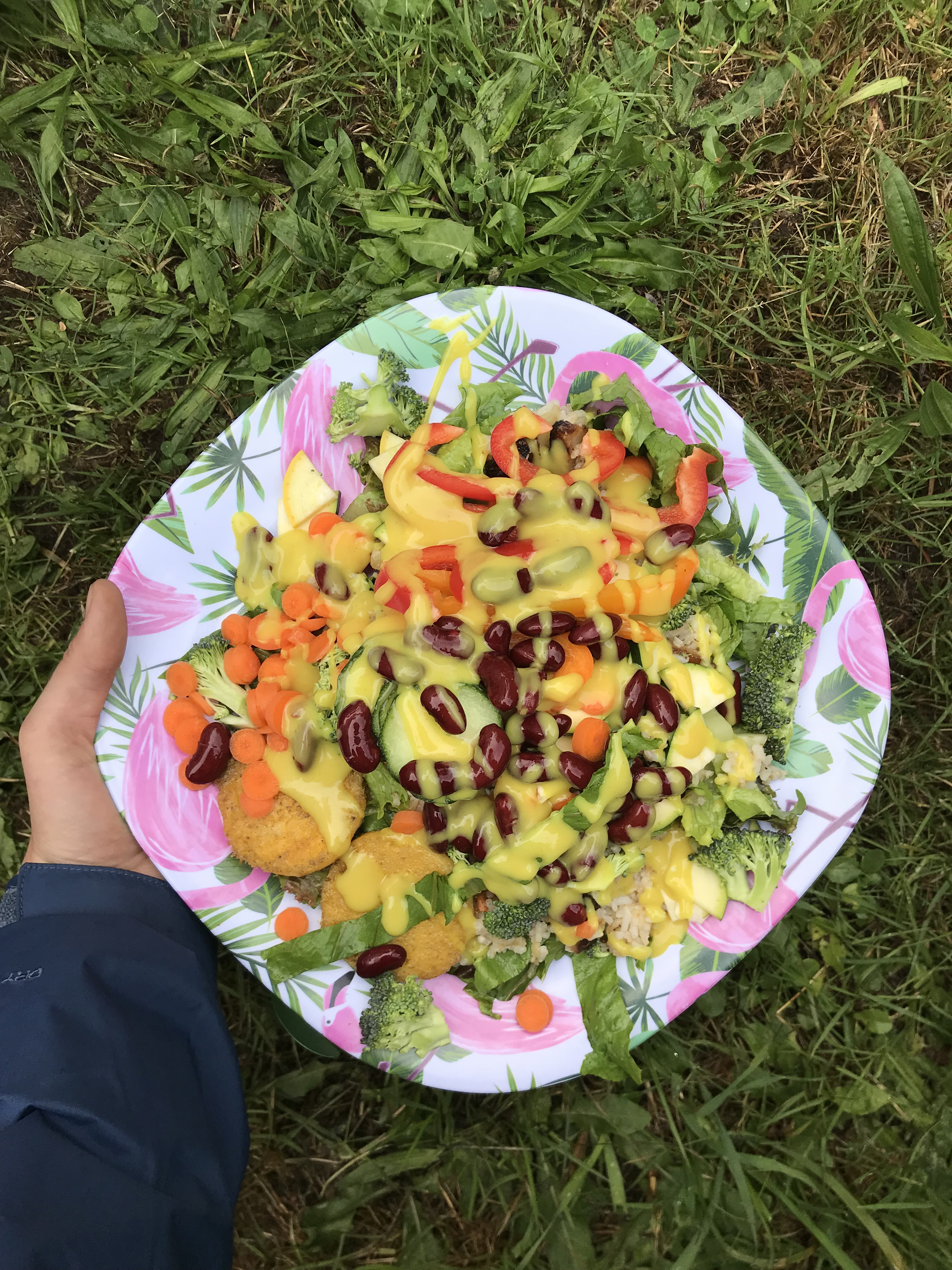 Blue Skye Farm Stand & Natural Science Education Internship – Blue Skye ...